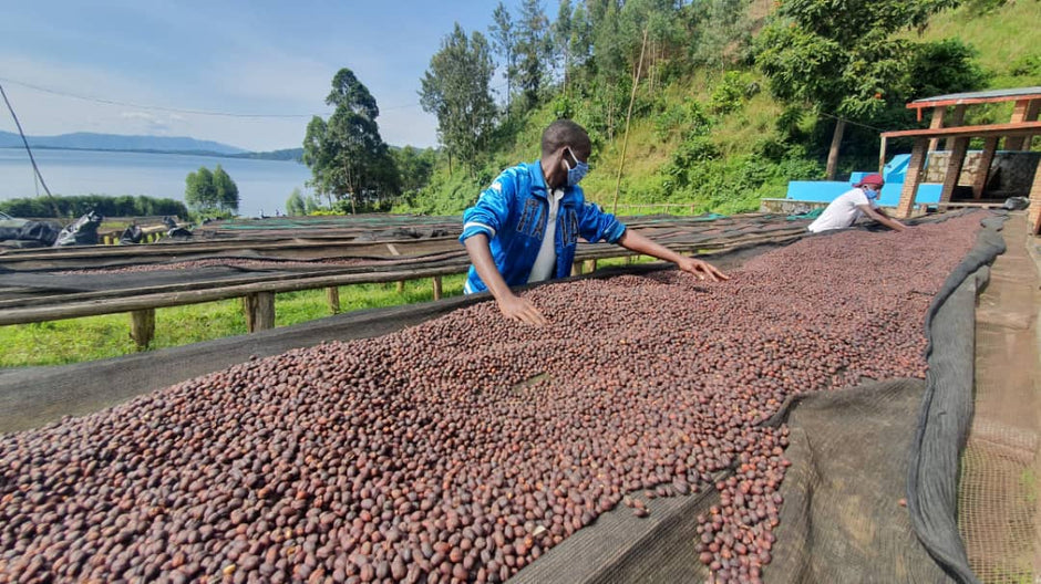 The Line Up – Mighty Valley