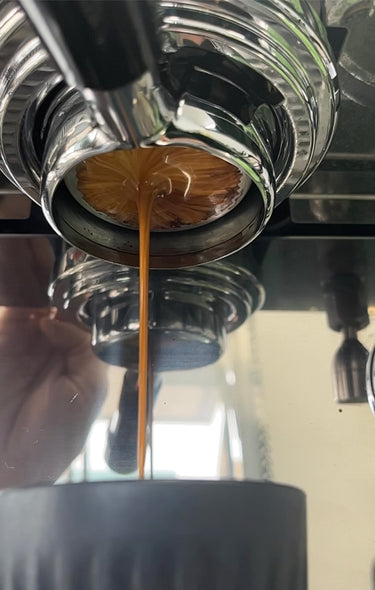 Mighty Valley Coffee